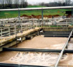 Ecozyme | Effluent, Septic and Wastewater Treatment Products